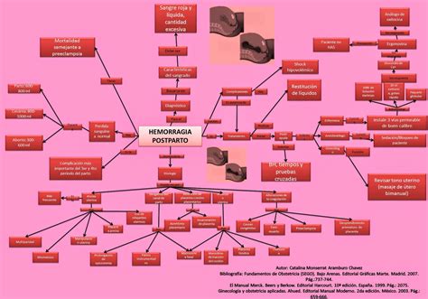Evidencias De Gínecologia 2014 17 Mapa Conceptual Tema Hemorragia