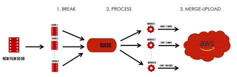 Trans Coding Process 8 Download Scientific Diagram