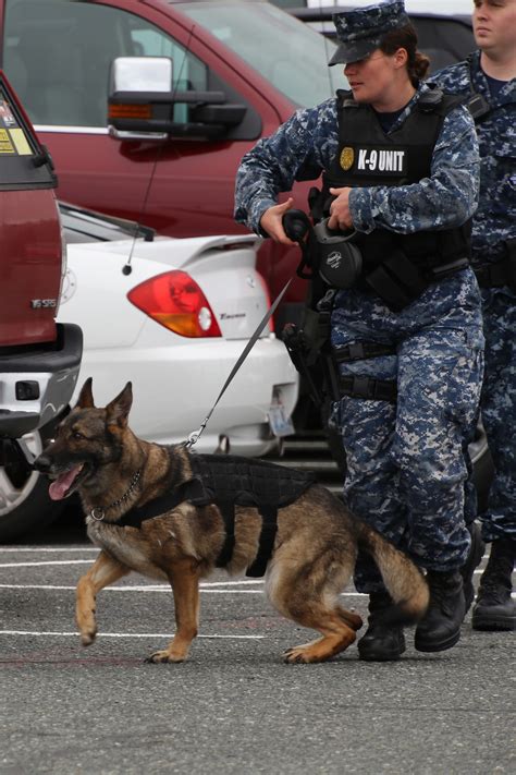 Naswi Hosts Open House United States Navy Display Pressreleases