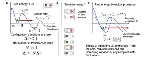 🥼agingdoc1⭐md Phd 🔔 On Twitter Aging Clocks Entropy And The Limits