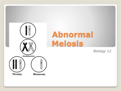 Ppt Abnormal Meiosis Powerpoint Presentation Free Download Id 2887507