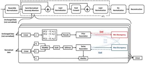 Anomaly Detection In Time Series Data Using Reversible Instance Normalized Anomaly Transformer