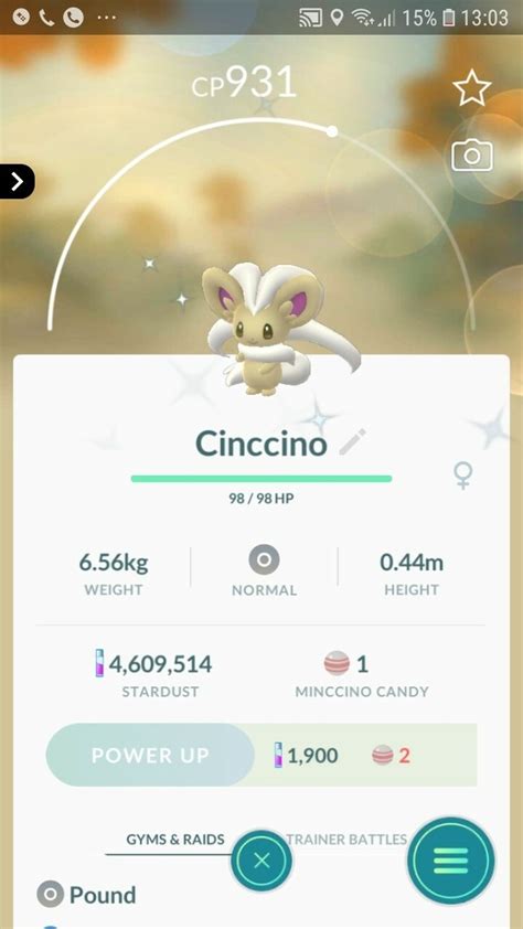 Pokemon Minccino Evolution Chart