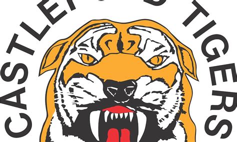 Castleford Sign James Grehan From Limoux Daily Mail Online