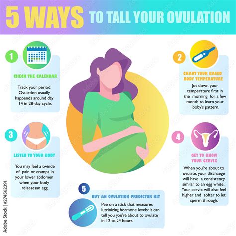 5 Ways To Tall Your Ovulation Preparation For Pregnancy Detailed