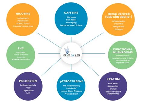 Rexis Biotech Improving Functional Ingredients With Innovative