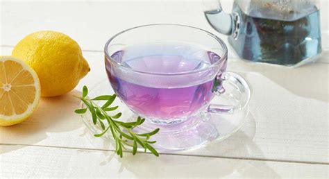 Los Cinco Tés Con Más Antioxidantes Que El Té Verde Imágenes