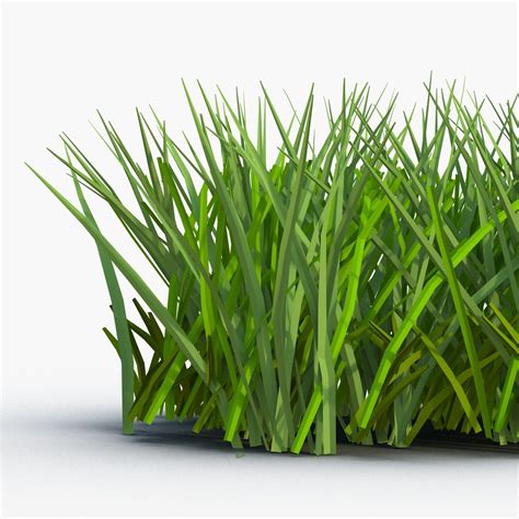 3d Grass 2