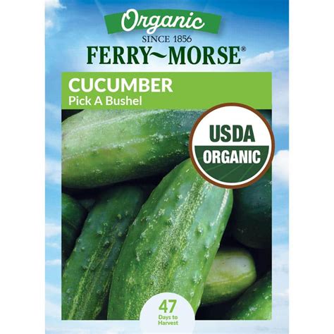 Ferry Morse Organic Cucumber Pick A Bushel Hybrid Fruit Seeds 9830