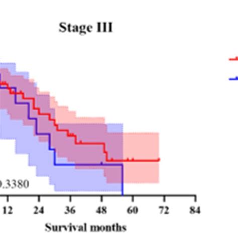Subgroup Survival Analysis According To The Tumor Stage Download