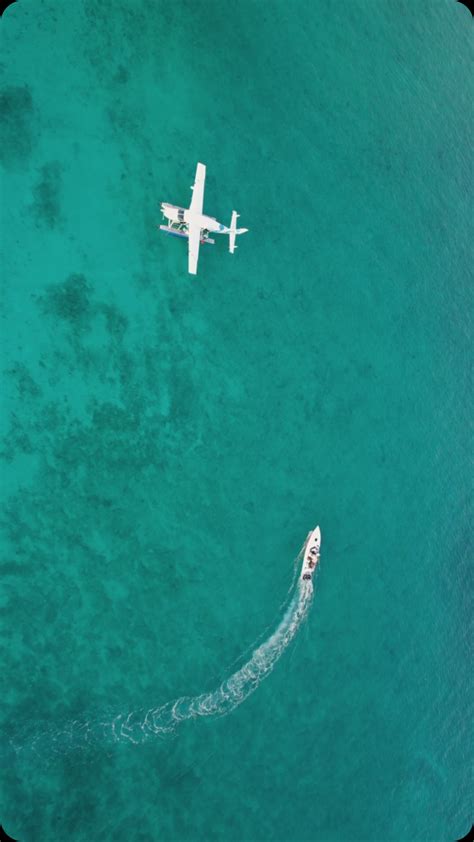 Cotton Candy Bahamas Cottoncandybahamas • Instagram Photos And Videos
