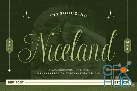 Niceland Calligraphic Typeface 116567