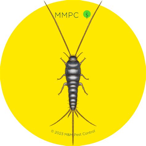 Silverfish Mmpc