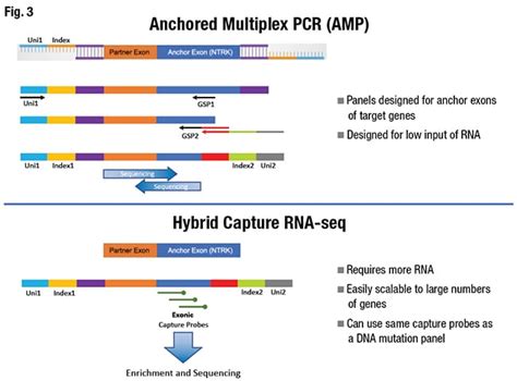 Ntrk Fusion Testing Ups Downs Of Four Methods Cap Today