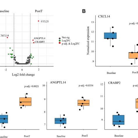 Calcium Electroporation Affects Tumor Gene Expression A Principal