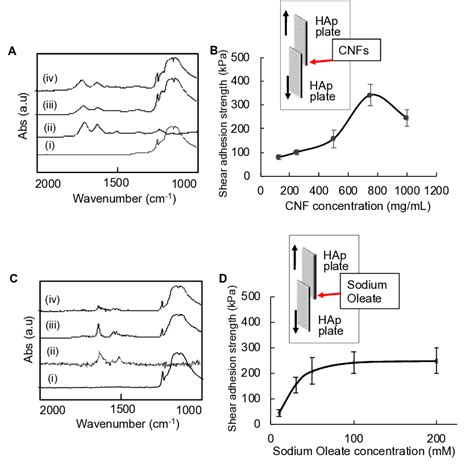 Affinity Tests Between Hydroxyapatite And Organic Molecules A And C Download Scientific