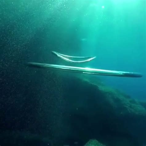 Air Rings Collide Underwater Source Tumbex