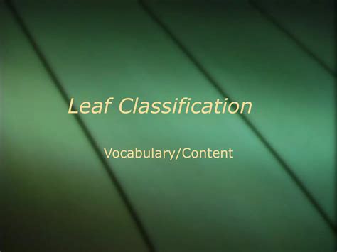 Leaf Classification Vocab Ppt