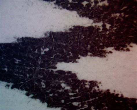 Thermal Printer Under Microscope