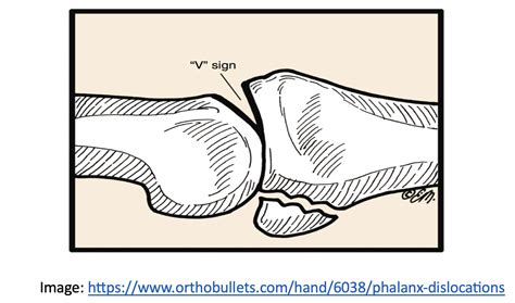 Emergency Medicine Educationscreenshot 2024 09 21 At 12 32 14 Am