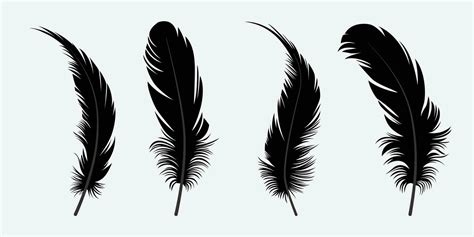 Feather Vector Icon Set Simple Style Vector Illustration White Background 29711437 Vector Art