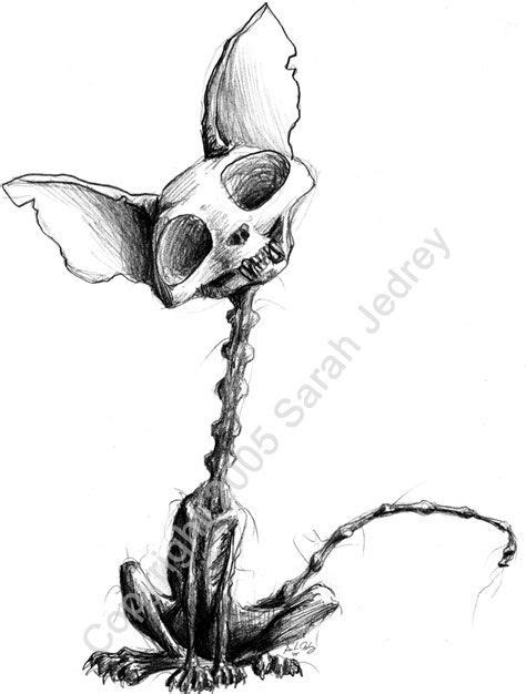 Pin On Drawing