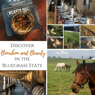 Discover Bourbon And Beauty In The Bluegrass State Adventure Mom