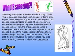 Sneeze Ppt