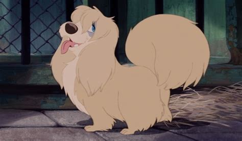 Lady And The Tramp Dogs Breeds
