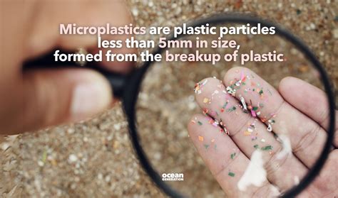 Is Seaweed The Secret To Ditching Plastic Explained Ocean Generation