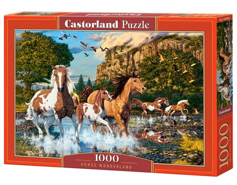 Castorland Jigsaw Puzzle 1000 Pieces Castorland 104789