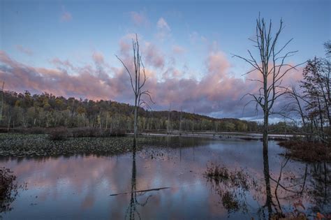 Killbuck Marsh Wildlife Area Ohio Nature Preserve Photography By John