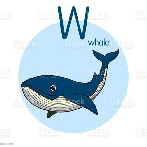 알파벳 문자 W 어퍼 케이스 또는 어린이 학습 연습 Abc에 대 한 대 문자와 고래의 벡터 그림 새날치류에 대한 스톡 벡터 아트
