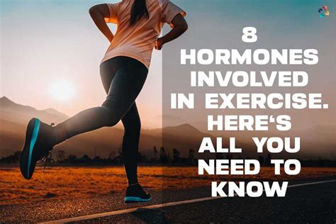 Best 8 Hormones Involved In Exercise. Here's All You Need To Know | The Lifesciences Magazine