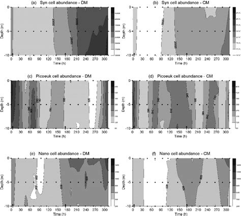 Evolution Of Synechococcus Mean Cell Abundance Cells Ml −1 In Download Scientific Diagram
