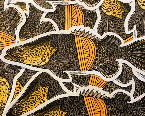 Murray Cod Decals Headwaters Art And Fly Shop