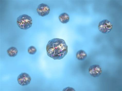 Exosome Based Sars Cov 2 Vaccine Selected For Project Nextgen Bioworld