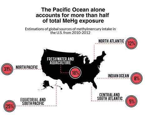 Scientists Trace The Worldwide Origins Of Methylmercury In Seafood