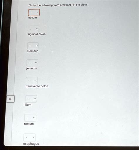 Order The Following From Proximal 1 To Distal Cecum Sigmoid Colon