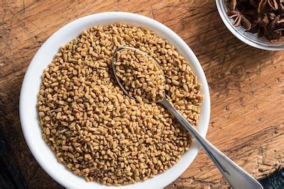 Best Plant Based Proteins