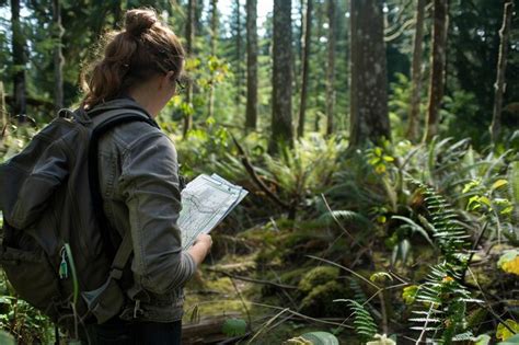 Conducting Habitat Surveys Ar Generative Ai Premium Ai Generated Image