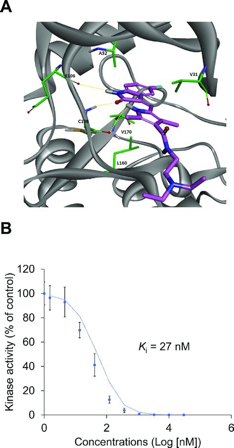 Binding Mode And K I Of Sunitinib For Tnik A The Proposed Binding