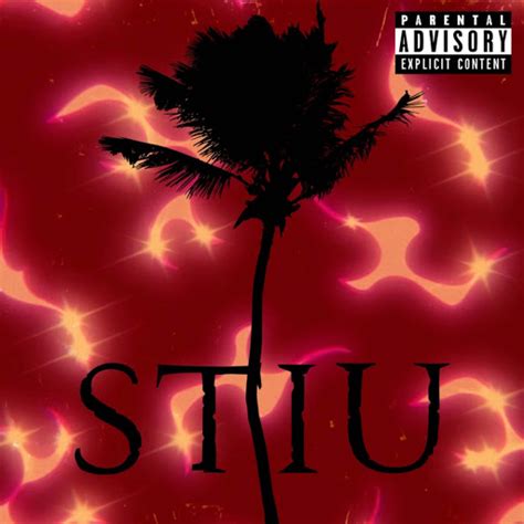 Stiu Youtube Music