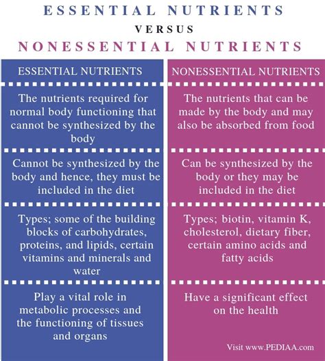 Non Essential Amino Acids Food List At Tricia Tapp Blog