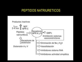 Utilidad De Los Péptidos Natriuréticos Pptx
