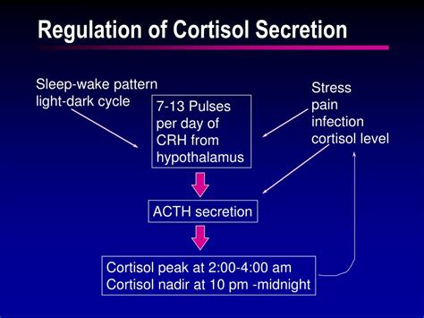 Ppt Endocrine Physiology And Disorders Powerpoint Presentation Free