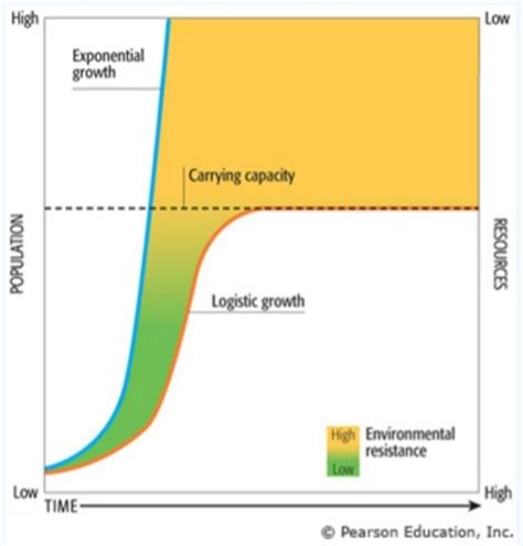 Fw260 Logistic Growth Flashcards Quizlet