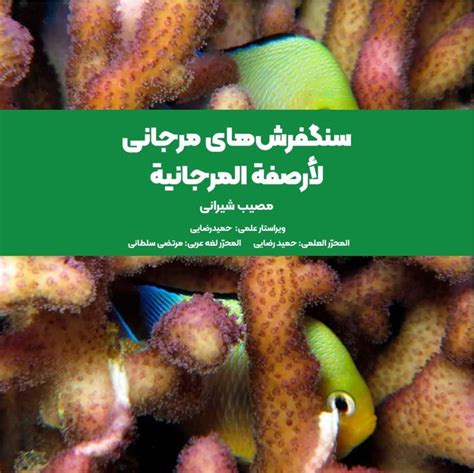 Mosayeb Shirani On Linkedin کتاب سنگفرشهای مرجانی به دو زبان فارسی و عربی در نشر ابراهیمبه زیرو