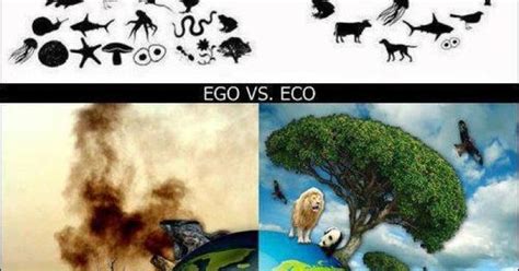 Ego Vs Eco Another Great Example Poster This Means So Much If People