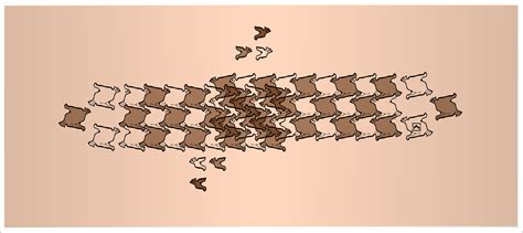 Home Visual Counterpoint